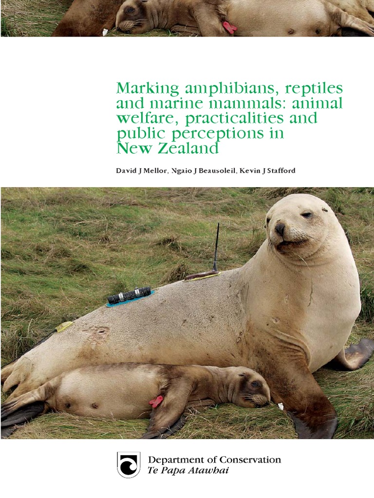 Marking Entire | PDF | Animal Welfare | Radioactive Decay