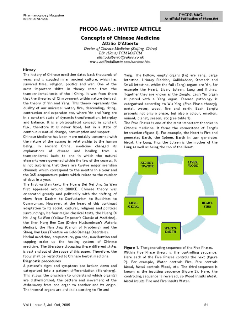 Concepts of Chinese Medicine Explained | PDF | Traditional Chinese ...