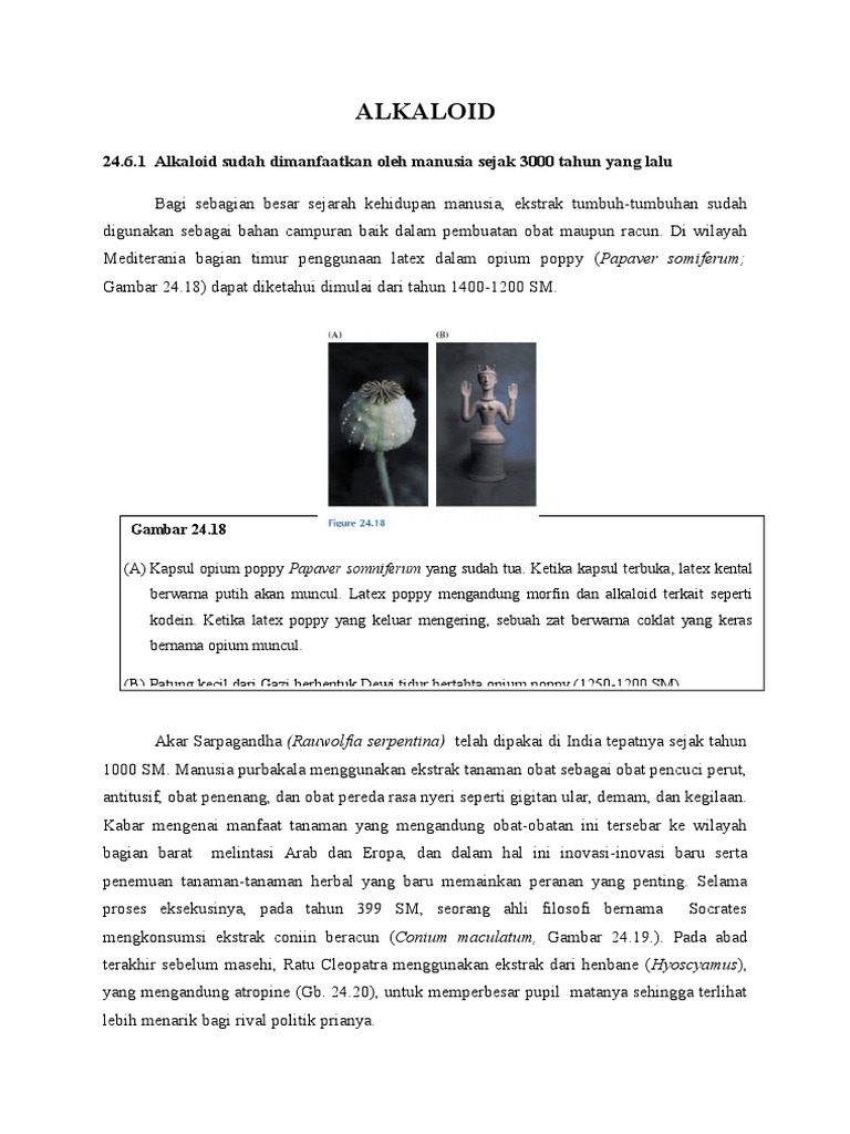 Alkaloid | PDF