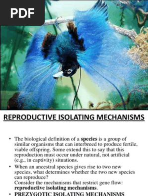 Reproductive Isolation Mechanisms