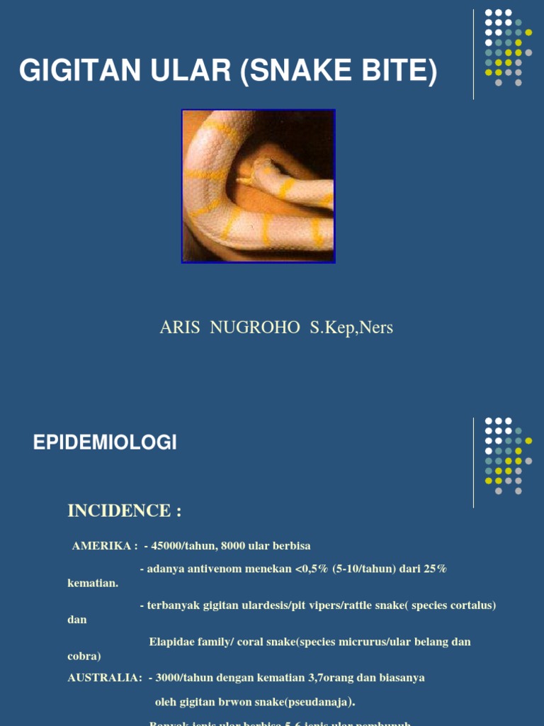 GIGITAN ULAR BERBISA: GEJALA, PENANGANAN DAN JENIS ULAR PALING BERBISA ...