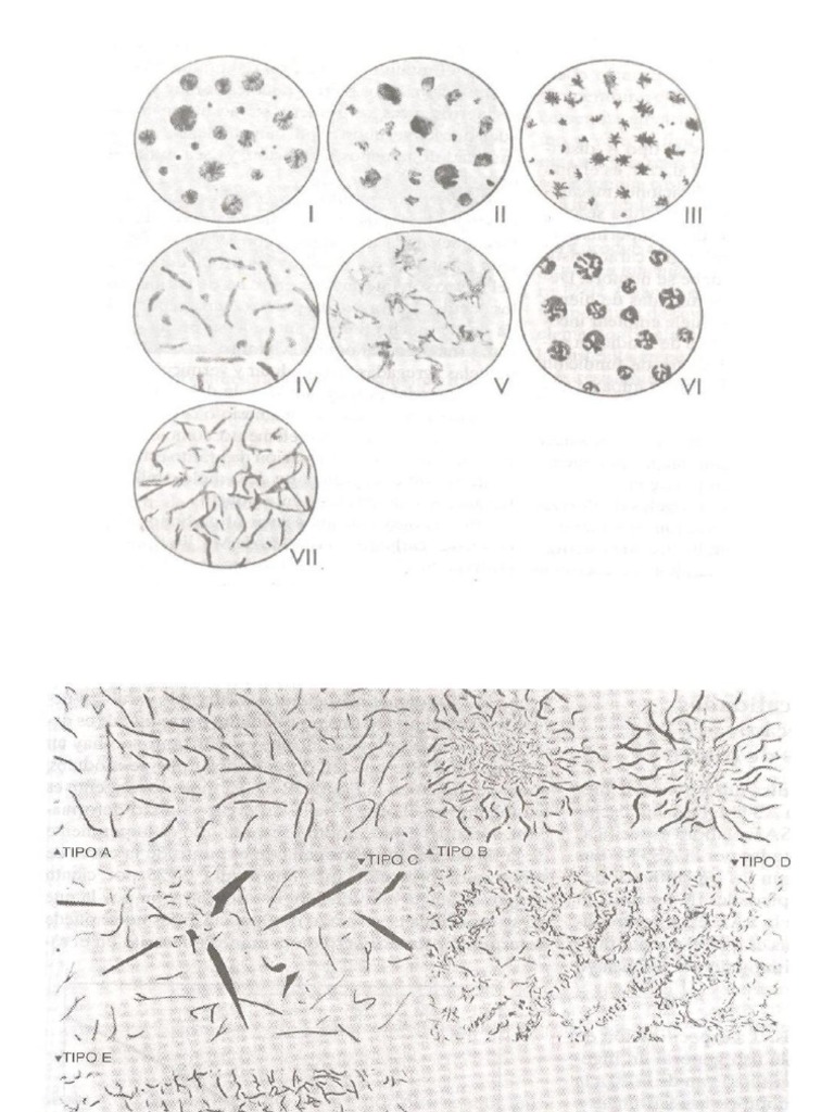 Norma Astm a 247 (1)