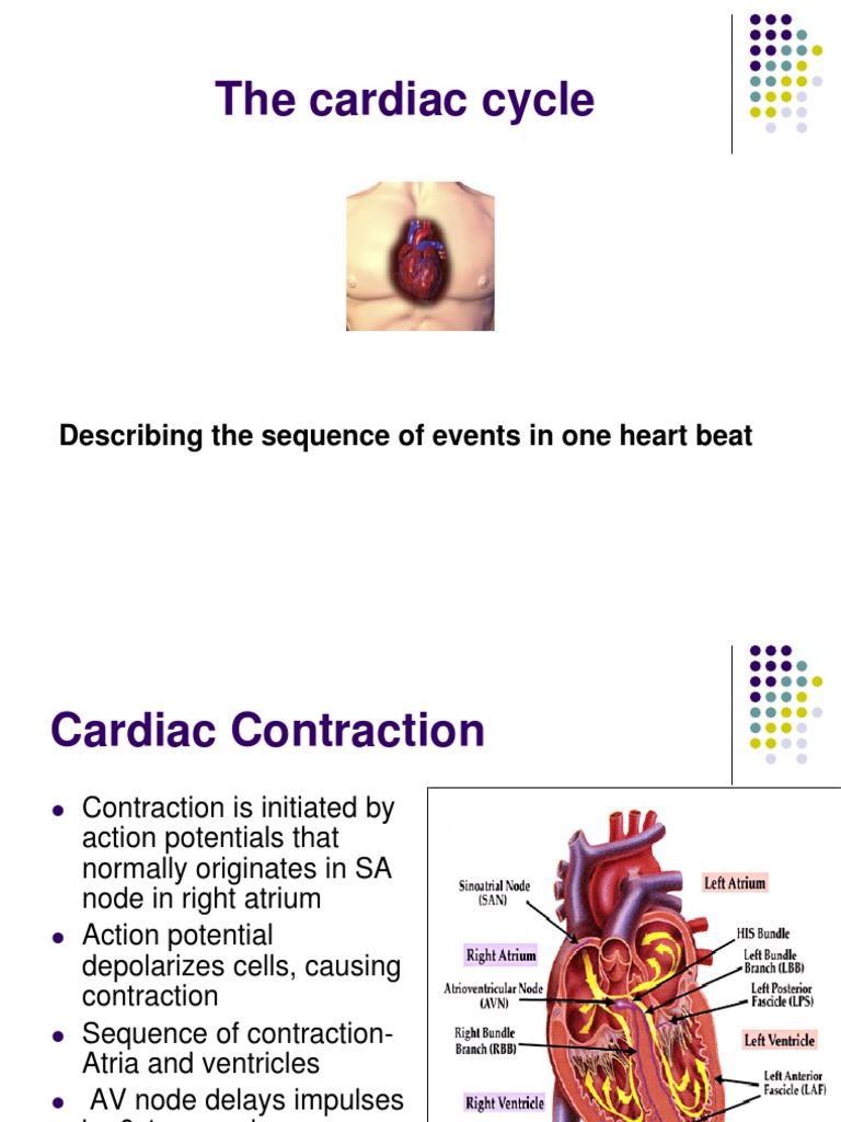 Cardiac Cycle by Bala Goyal | PDF | Heart Valve | Atrium (Heart)