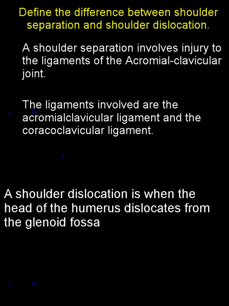 The Shoulder Joint | PDF | Shoulder | Primate Anatomy