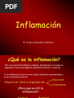Tipos y Procesos de Inflamación | PDF