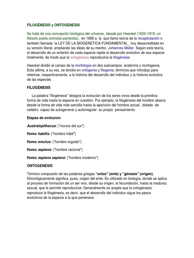 Ontogénesis y Filogénesis: Definiciones | PDF | Homo Sapiens | Homo