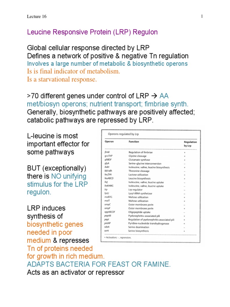 Leucine Responsive Protein (LRP) Regulon: Is Is Final Indicator of ...