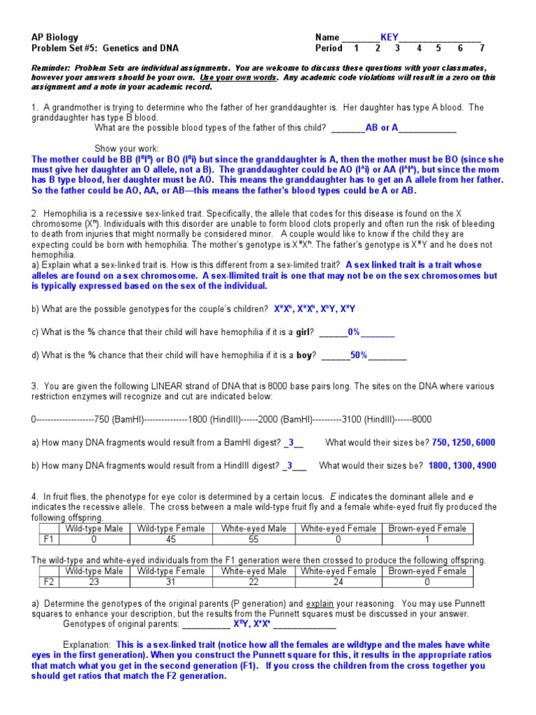 AP Biology Problem Set #5: Genetics and DNA Restriction Analysis | PDF ...