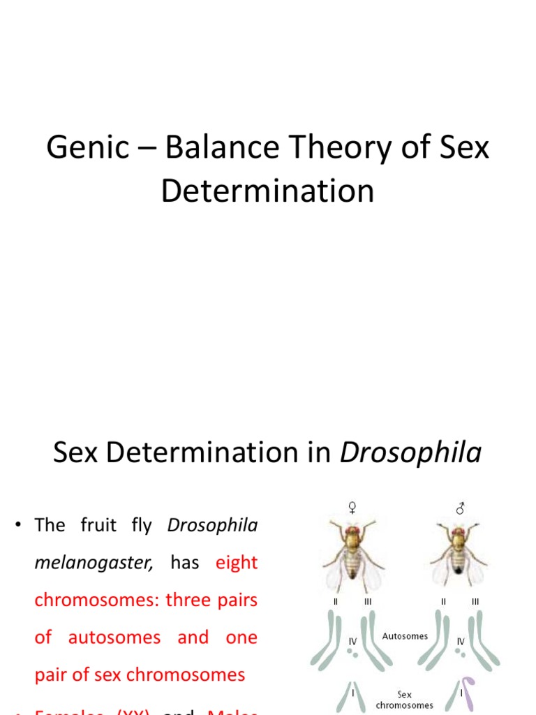 Genic-Balance Theory of Sex Determination | PDF | Alternative Splicing ...