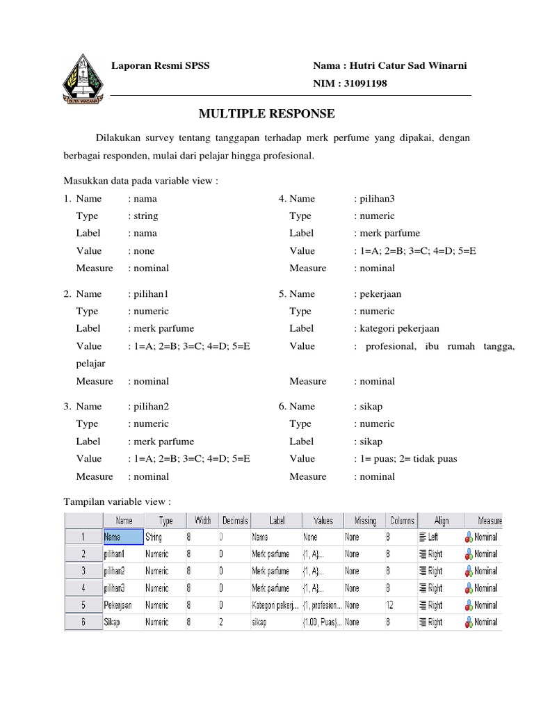 SPSS - Multiple Response | PDF