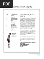 The Seven Principles of Systema Breathing | PDF