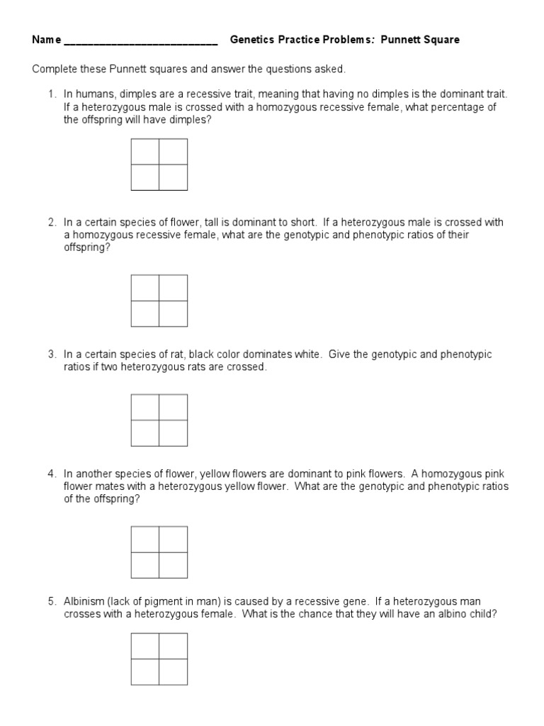 Punnett Squares Practice | PDF
