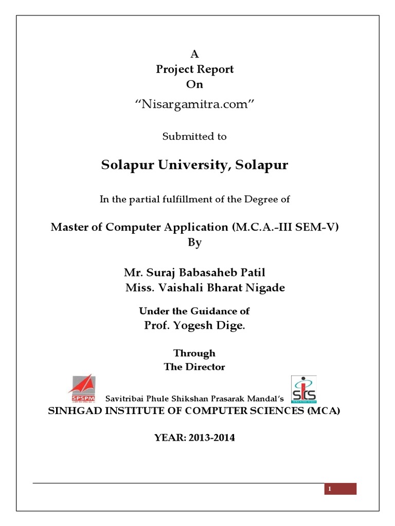 Project Report Demo | PDF | Areas Of Computer Science | Digital Technology