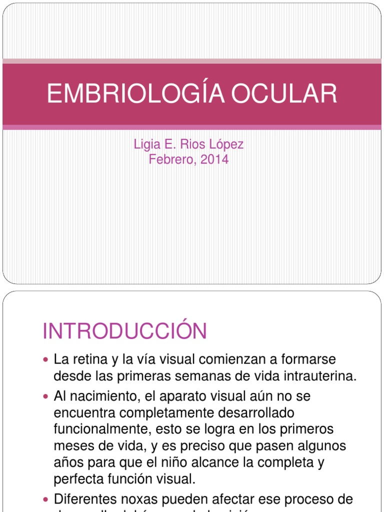 Desarrollo embriológico del ojo humano: de la formación de las ...