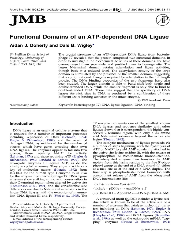 Functional Domains of An ATP-dependent DNA Ligase: Aidan J. Doherty and ...