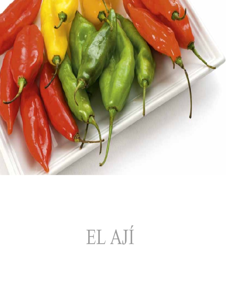 El Aji | PDF | Ají picante | Pimenton