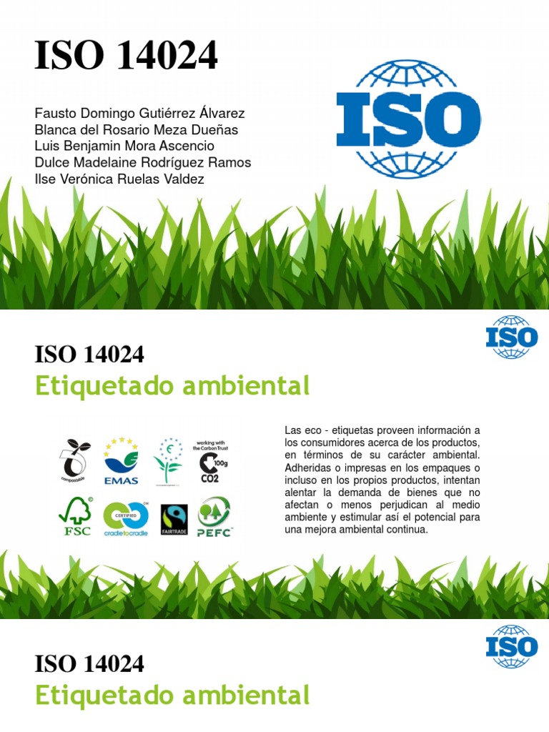 ISO 14024 | Producto (Negocio) | Organización internacional para la estandarización