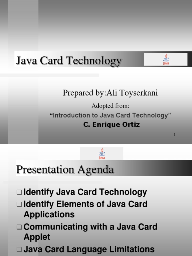 Java Card Technology Smart Card Java Programming Language