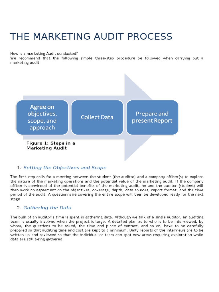 Marketing Audit Process | PDF | Marketing | Accounting
