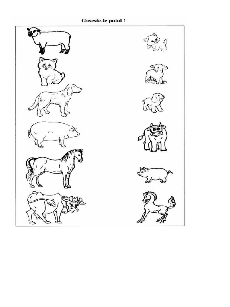 Easyosk 3 Grupa Image