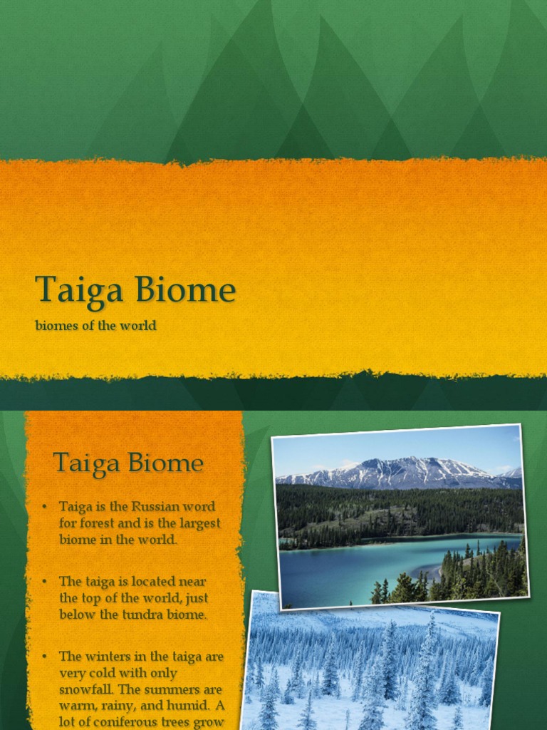 Taiga Biome - Arence PHILIPPINE NORMAL UNIVERSITY | PDF