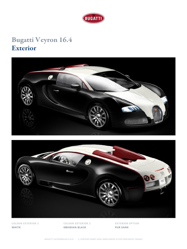 Bugatti Veyron Exterior Bugatti Veyron Front View Exterior Picture