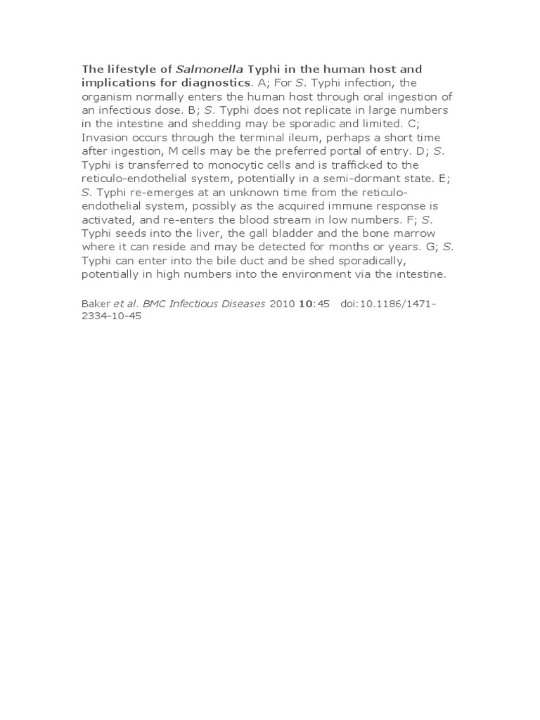 The Lifestyle of Salmonella Typhi in The Human Host and Implications ...