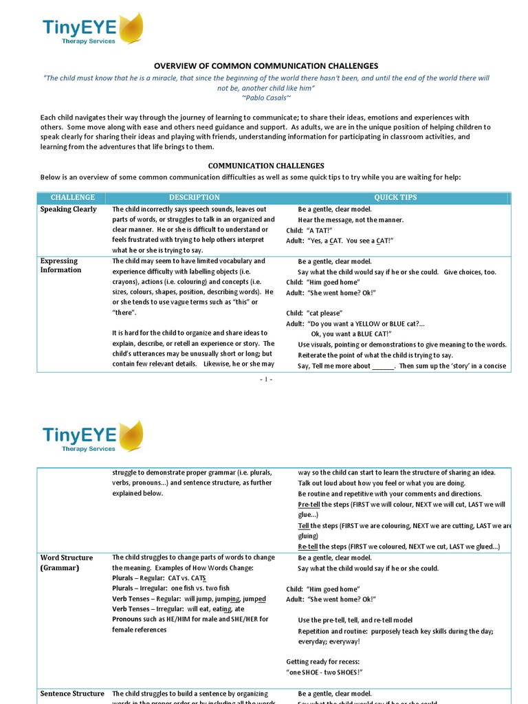 Overview of Common Communication Challenges and Tips | PDF | Speech ...