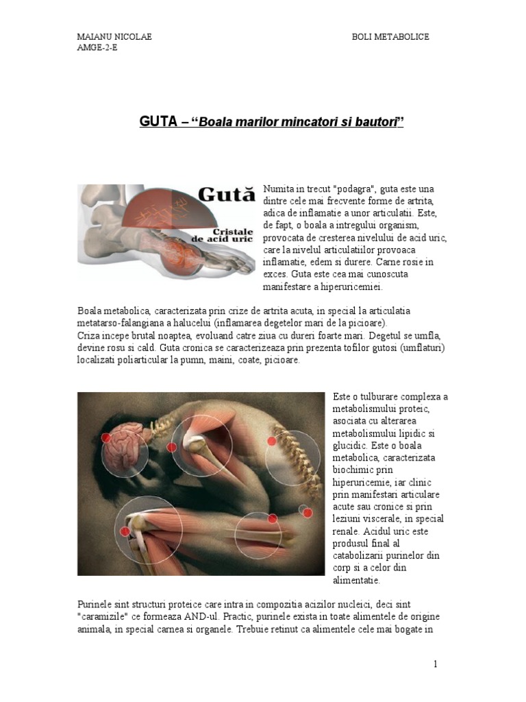Guta | PDF