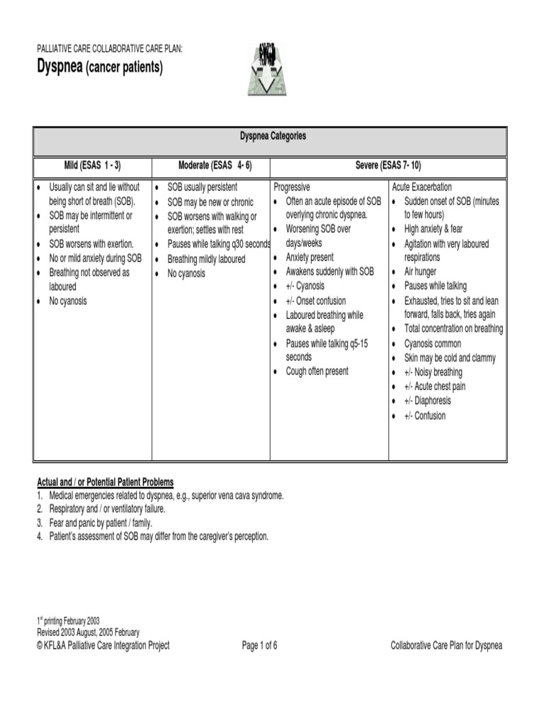 Collaborative Care Plan Dyspnea | Palliative Care | Chronic Obstructive ...