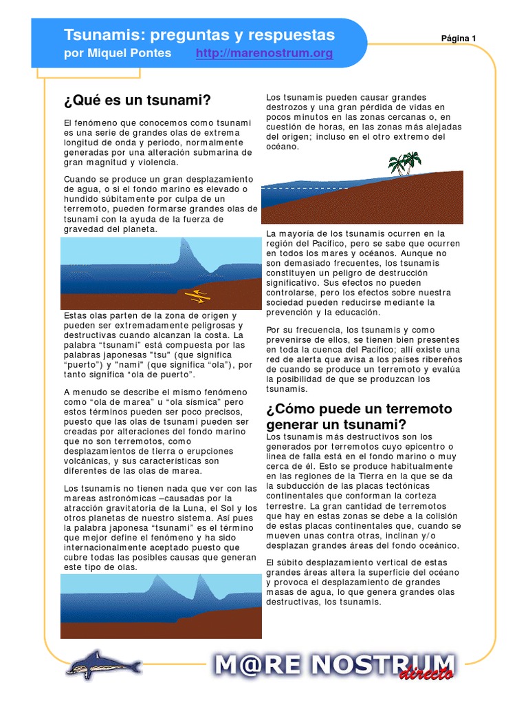Tsunamis, Preguntas y Respuestas | PDF | Tsunami | Temblores