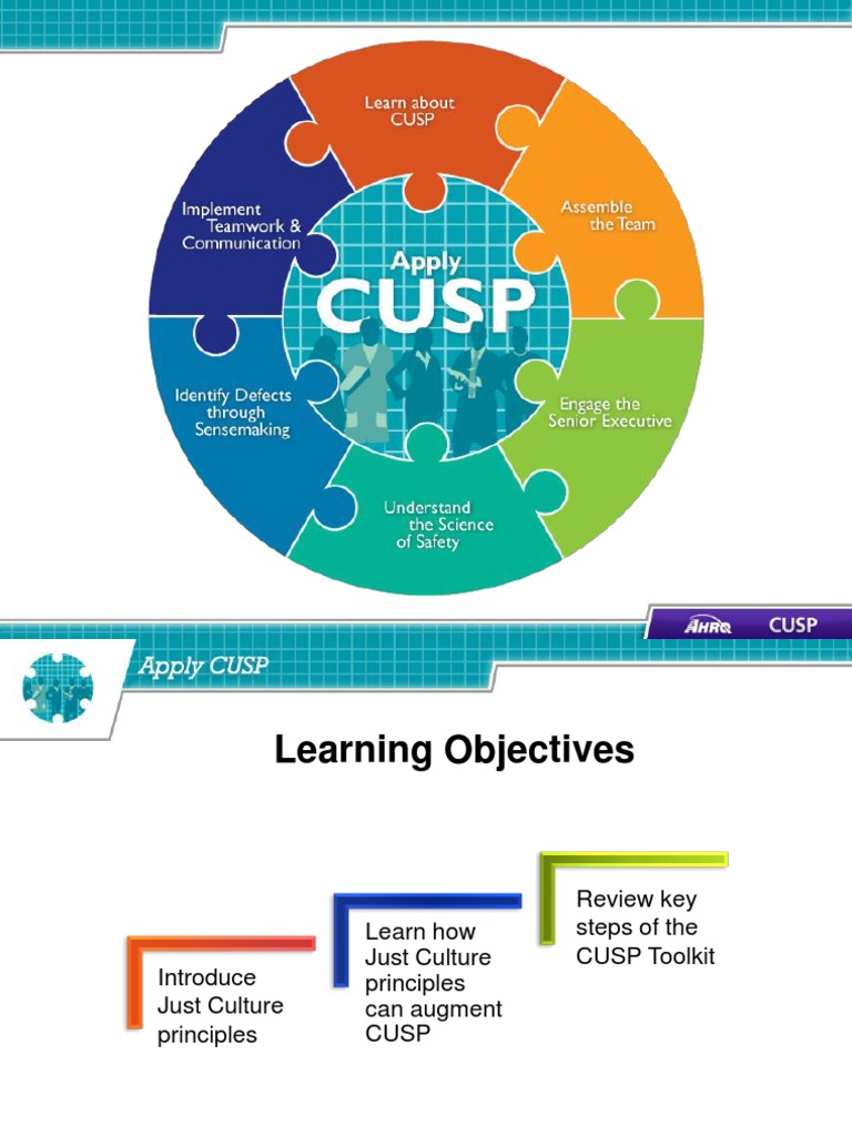 Apply Cusp | PDF | Patient Safety | Accountability