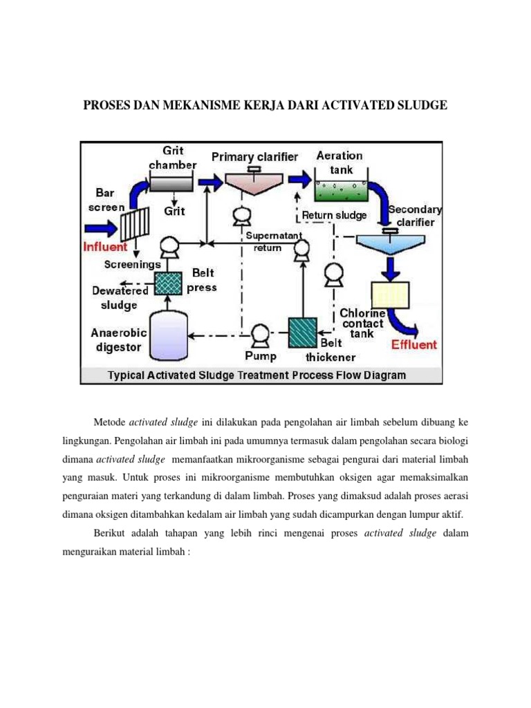 Activated Sludge | PDF