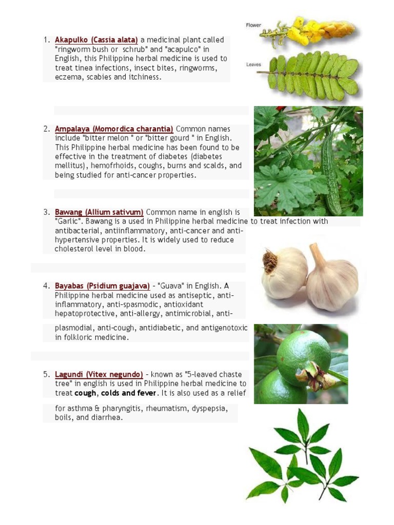 Herbal Medicine | PDF