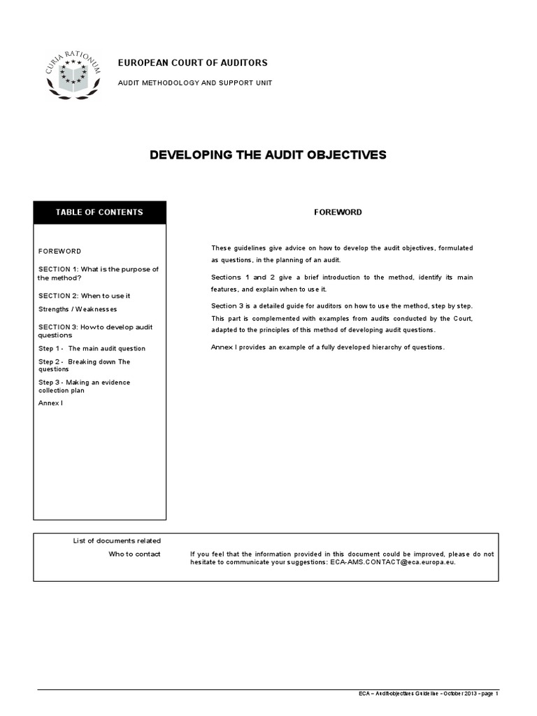 Audit Objectives Guideline en Oct2013 | PDF | Audit | Devolution