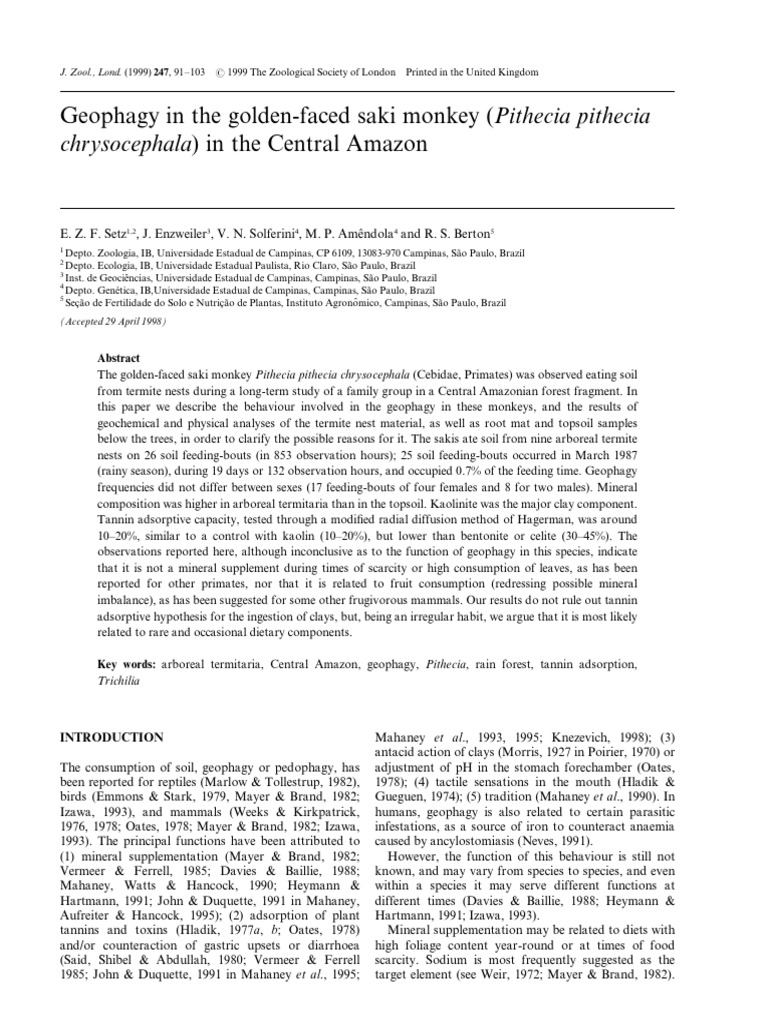 Geophagy in The Golden-Faced Saki Monkey (Pithecia Pithecia ...