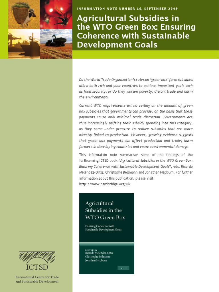Green Box Subsidies and Sustainability | PDF | Subsidy | Common ...