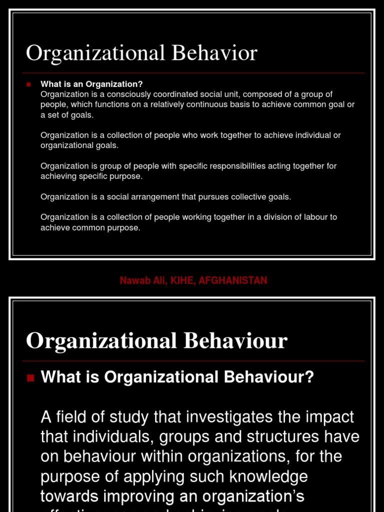 Organizational Behavior Slides | PDF | Self Actualization | Perception