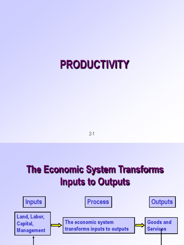 Productivity | PDF | Output (Economics) | Labour Economics