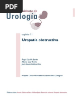 Obstrucción y Estasis Urinaria | PDF | Vejiga urinaria | Urología