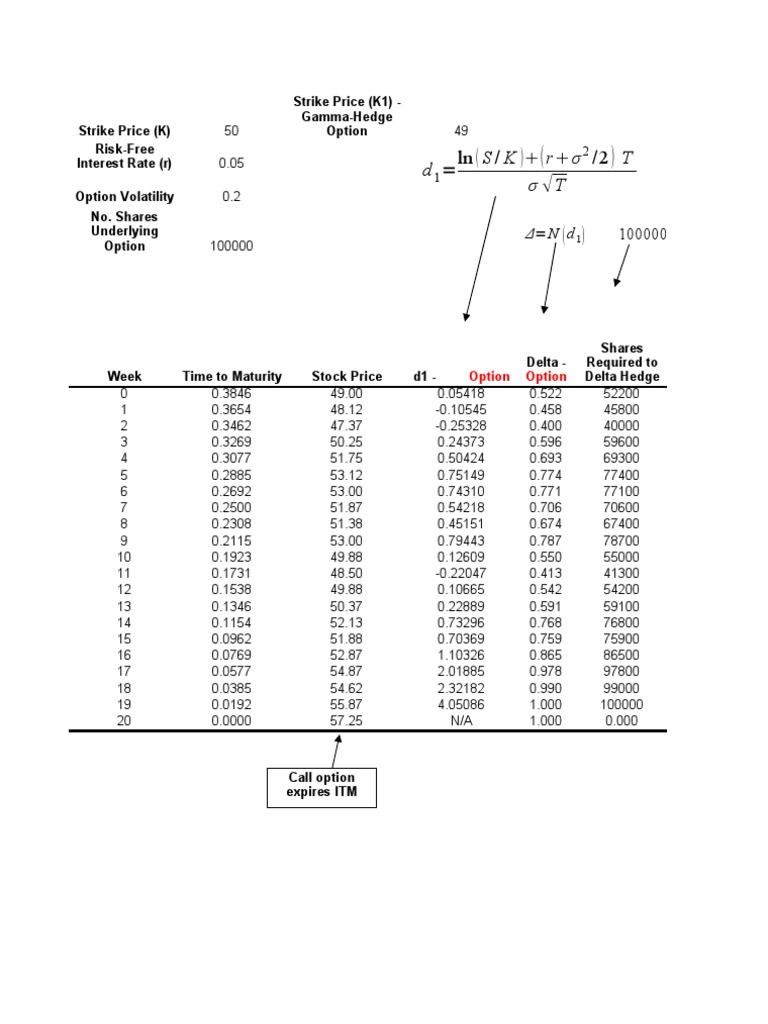 FI6051 Dynamic Delta Gamma Hedging Example HullTable14!2!3 | PDF ...