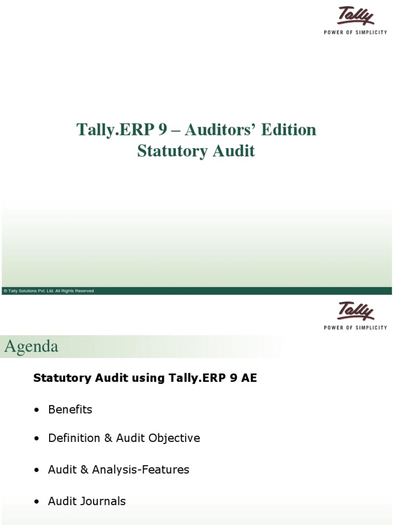 Statutory Audit Presentation | Financial Transaction | Audit