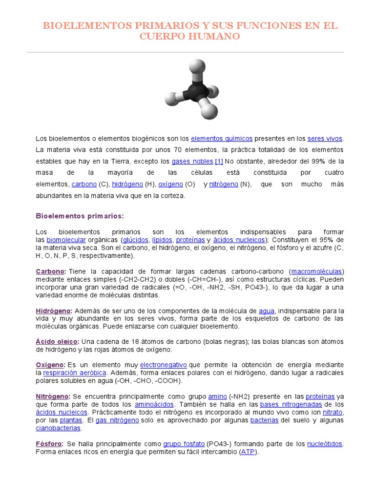 Funciones de los Bioelementos Primarios | PDF | Biomoléculas | Organismos