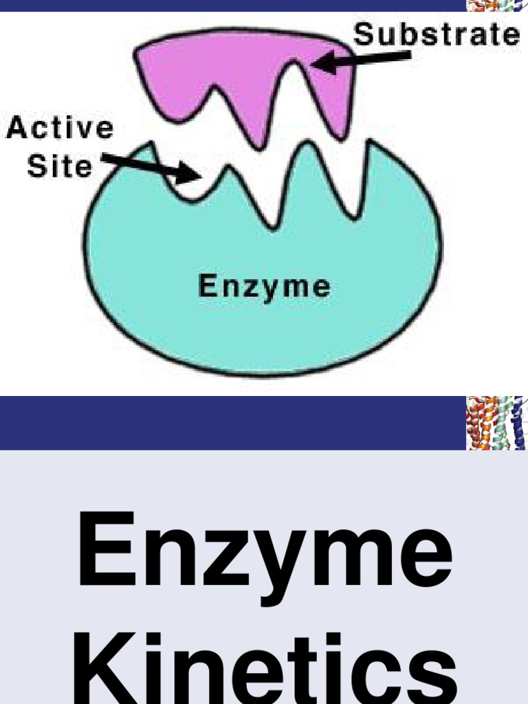 Understanding Enzyme Kinetics Through Mathematical Modeling | PDF ...
