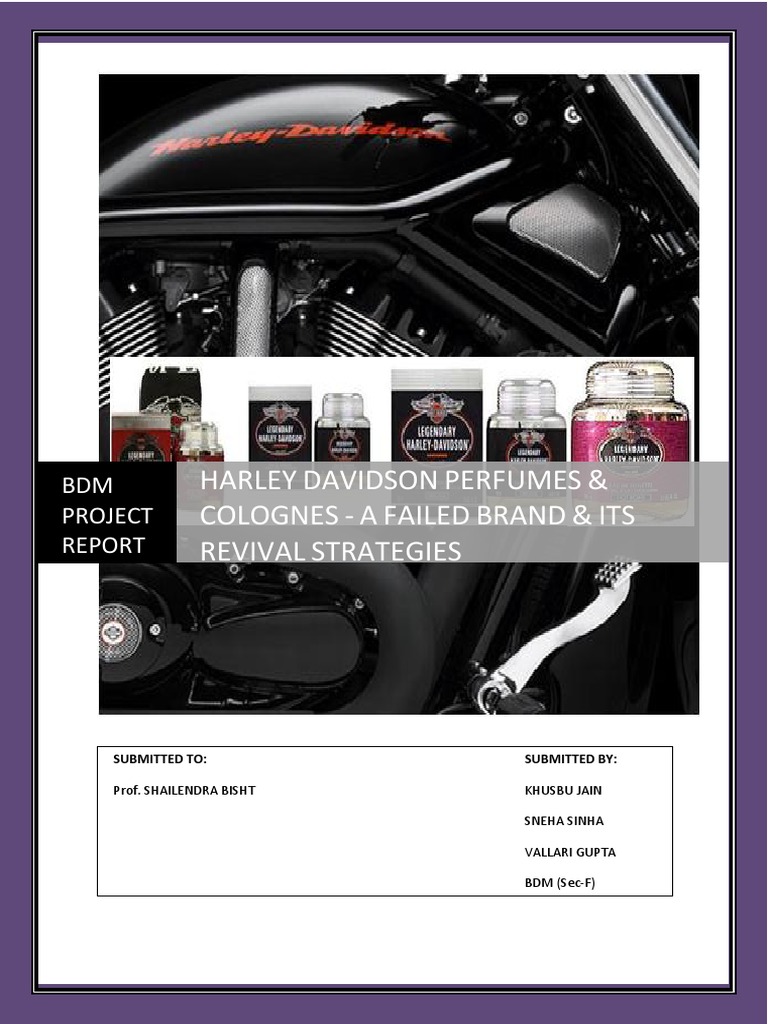 BDM Project Report - Harley Davidson | PDF | Harley Davidson | Brand