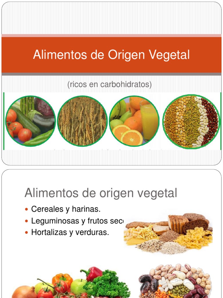 Alimentos de Origen Vegetal | Cereales | Carbohidratos