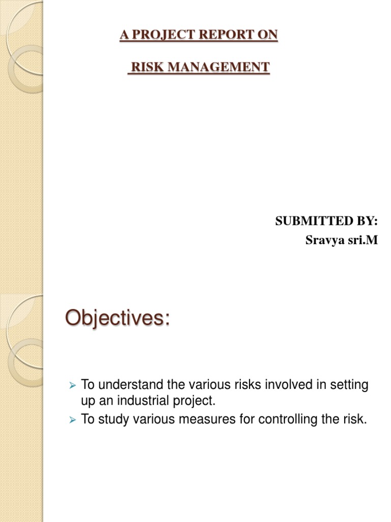 Risk Management Project Report | PDF