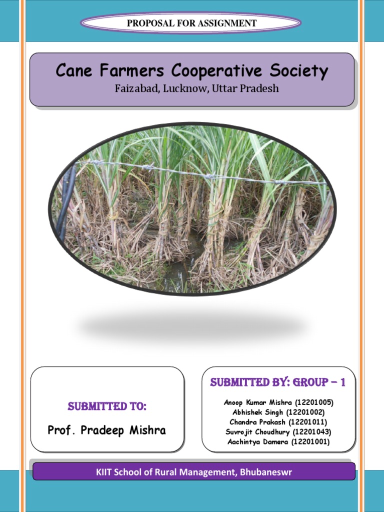Co Operative Business-Proposal Group 1 | PDF | Resource | Cooperative