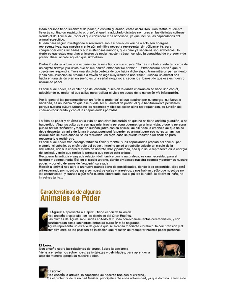Animales de Poder y su Significado | PDF | Lakota People | siux