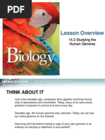 BIOLOGY Class 12 Project | PDF | Human Genome | Dna